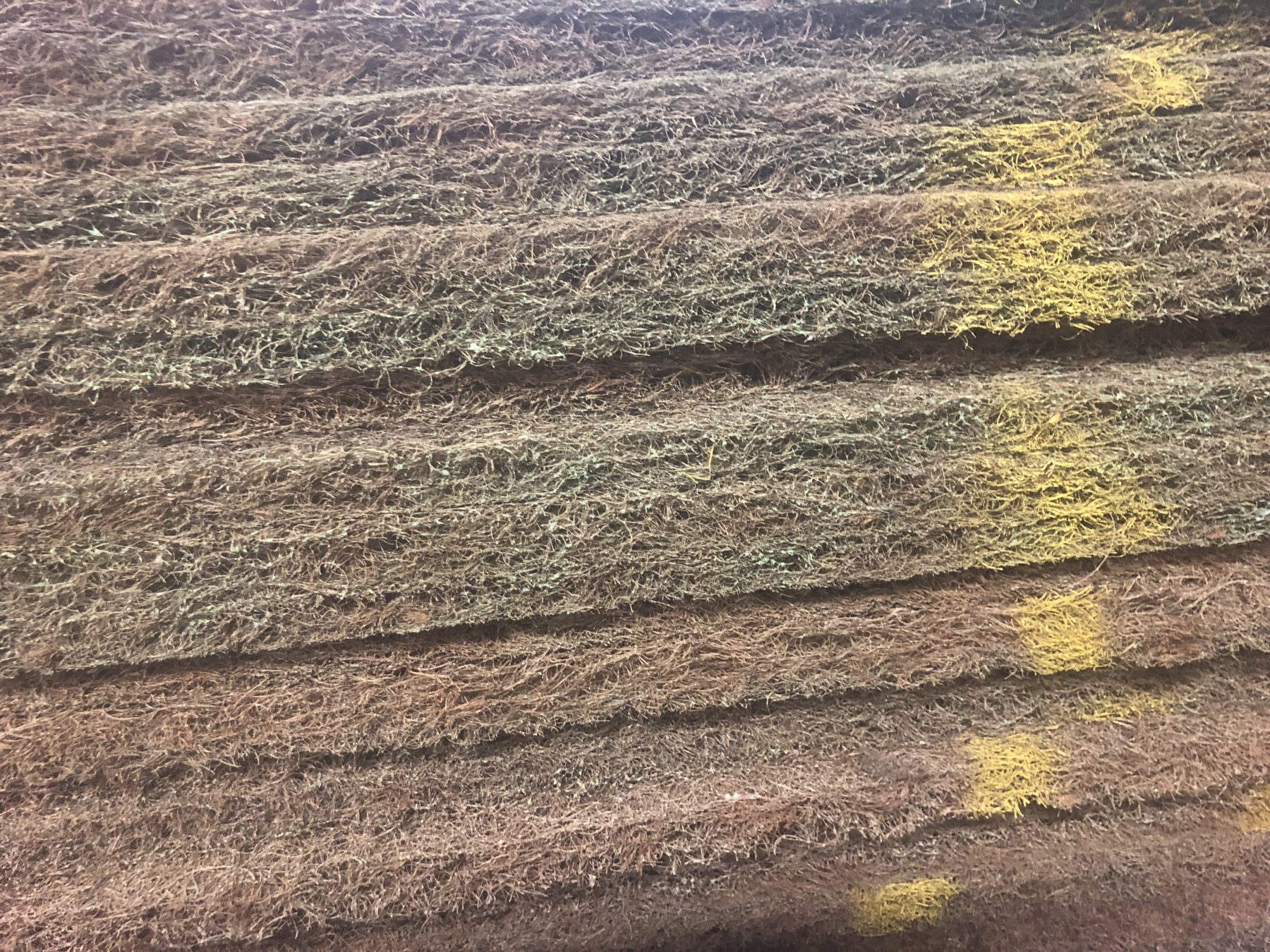 Cocolok [yellow stripe] - Martins Upholstery Supplies